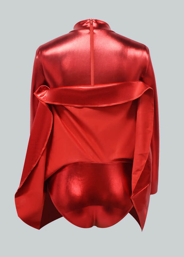 Long Sleeve Turtleneck Shiny Metallic A-Line Flared Dress